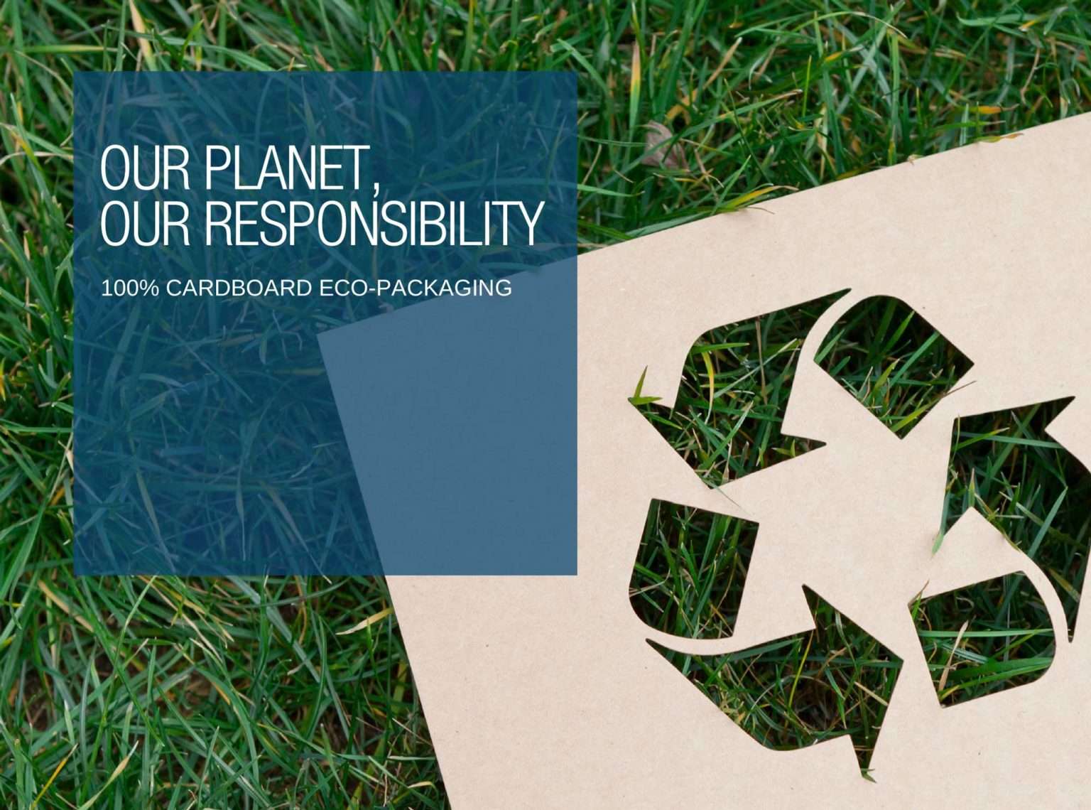 ISO 14001:2015 – Environmental certification: another goal achieved by ...